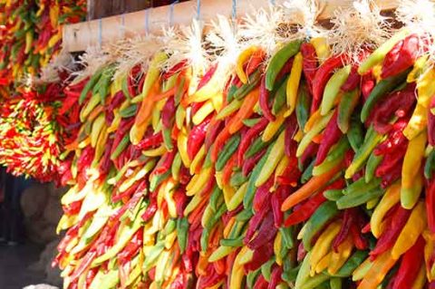 History - Hatch Chile Peppers